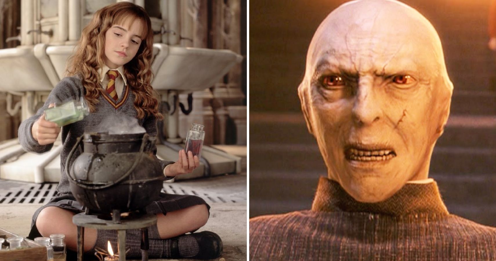 20 Weird Things About Wizard Anatomy In Harry Potter | TheGamer