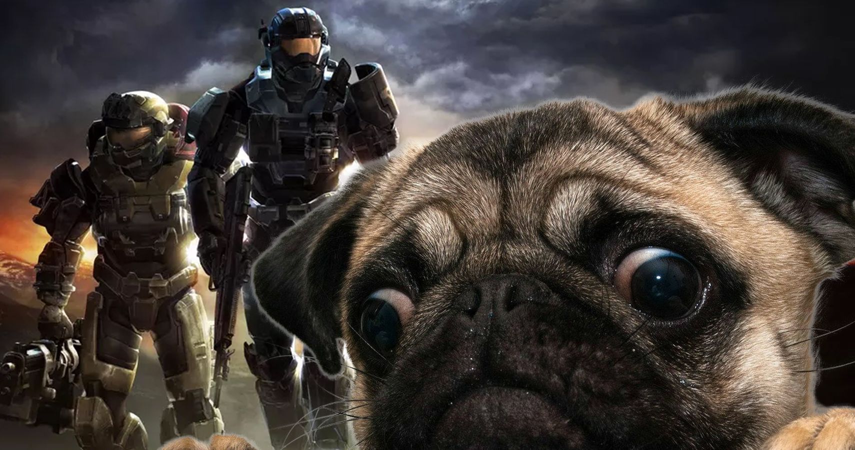 What A Good Boy: A Pug Helped Make Halo Infinite's Sounds Possible
