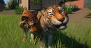 Planet Zoo A Beginner s Guide To Starting A Zoo From Scratch
