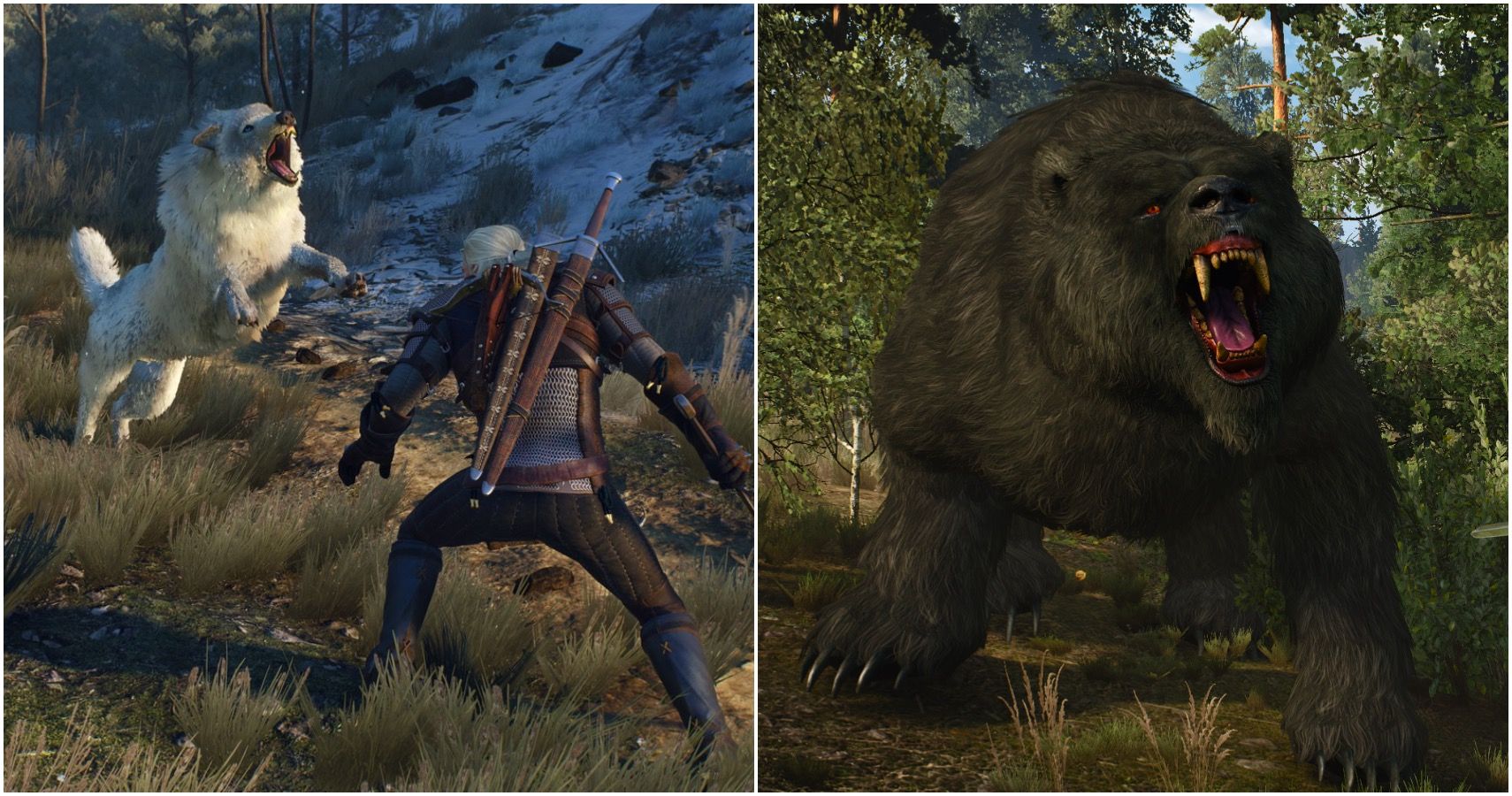 The Witcher 3: Every Beast Type Ranked, According To Strength