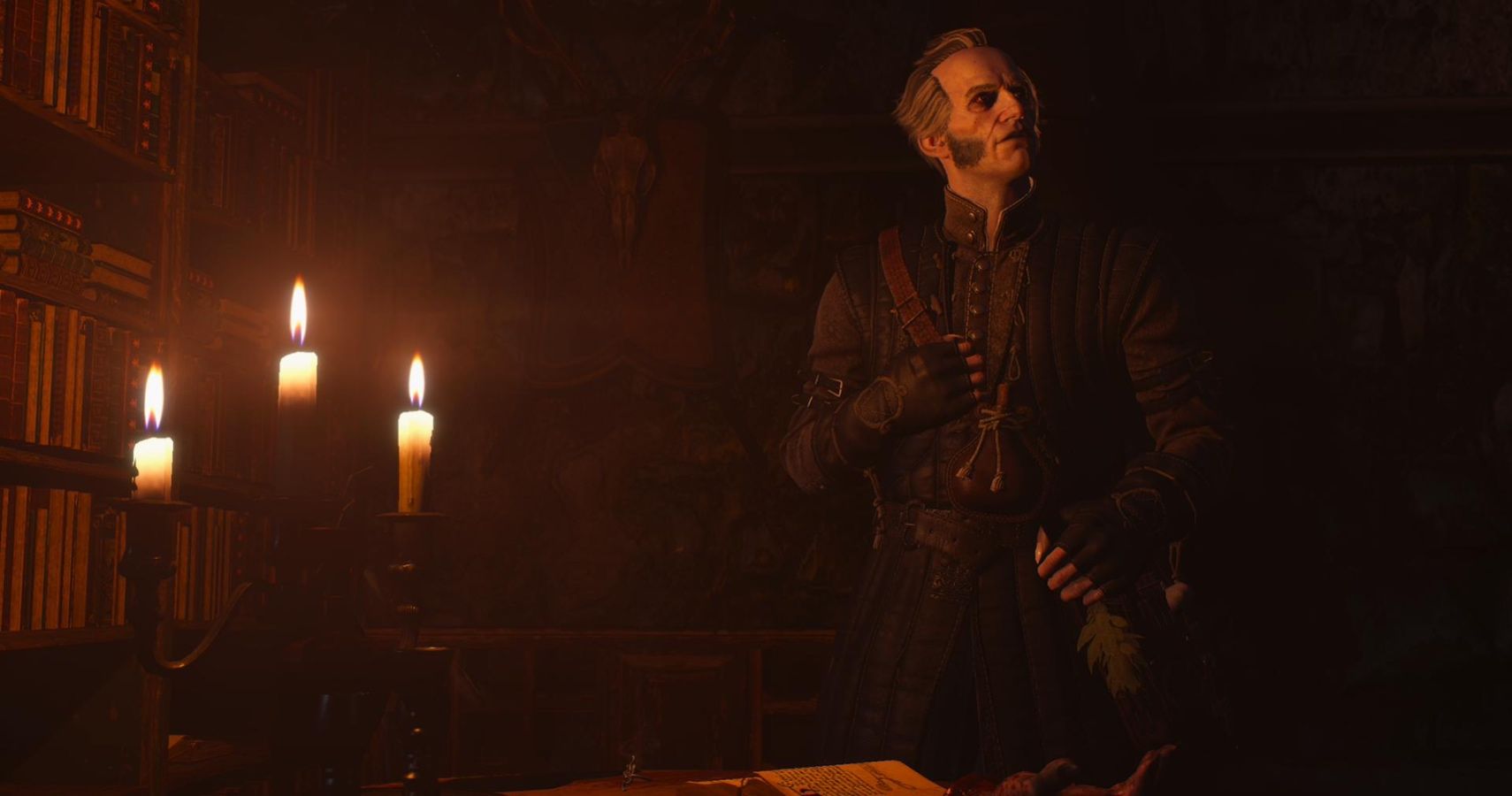 The Witcher 3: 10 Details Everyone Completely Missed About Regis From ...