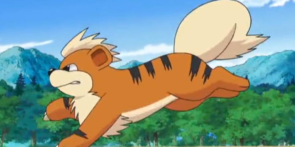 Pokémon How To Evolve Growlithe And 14 Other Things You Didnt Know