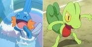 10 Things You Didn t Know About The Pok mon Emerald Starters 10 Things You Didn t Know About The Pok mon Emerald Starters