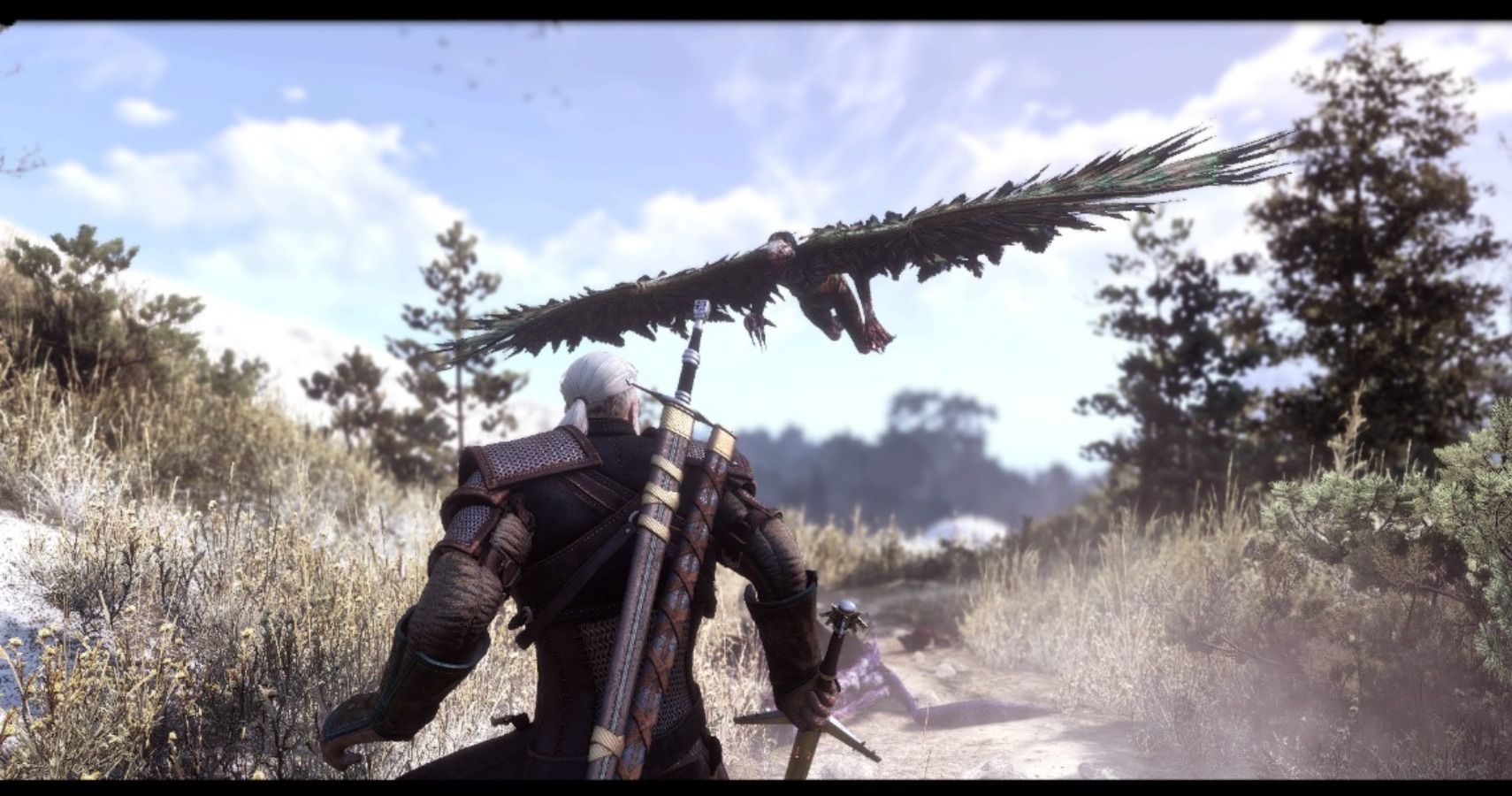 The Witcher 3: 10 Things You Didn't Know About Harpies | TheGamer