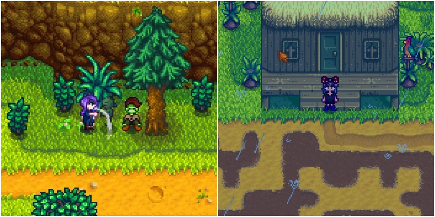 Stardew Valley: Everything You Need To Know About The Island Farm